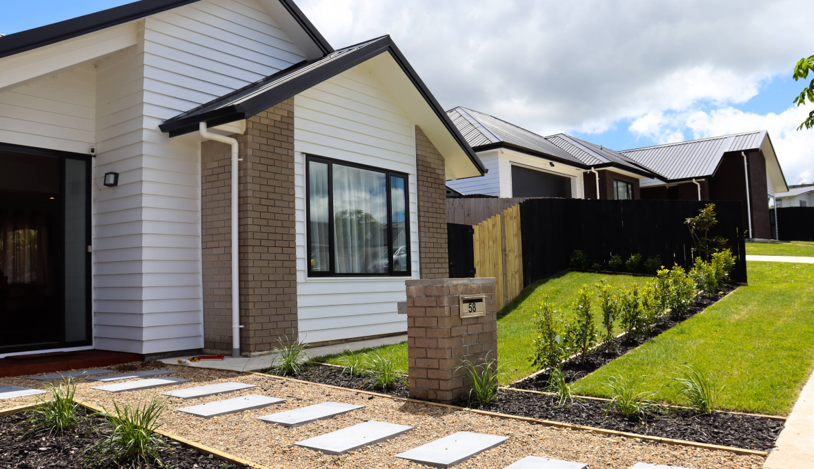 Remedying a lacklustre landscape in Warkworth, Auckland | Project