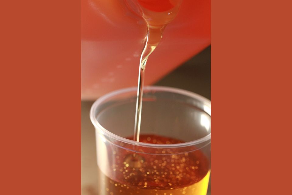 Will & Co. Announces Strategic Collaboration to Bring Checkerspot’s ...