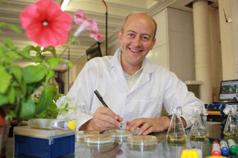 Are You Ready for Plants That Change Color? - SynBioBeta