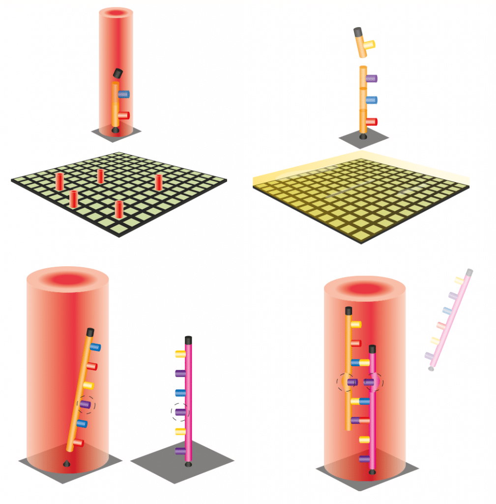 Building DNA on a chip: a novel approach to gene synthesis - SynBioBeta