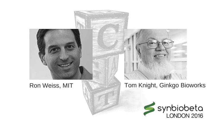 A Reflection on the First 20 Years of Synthetic Biology And Its ...