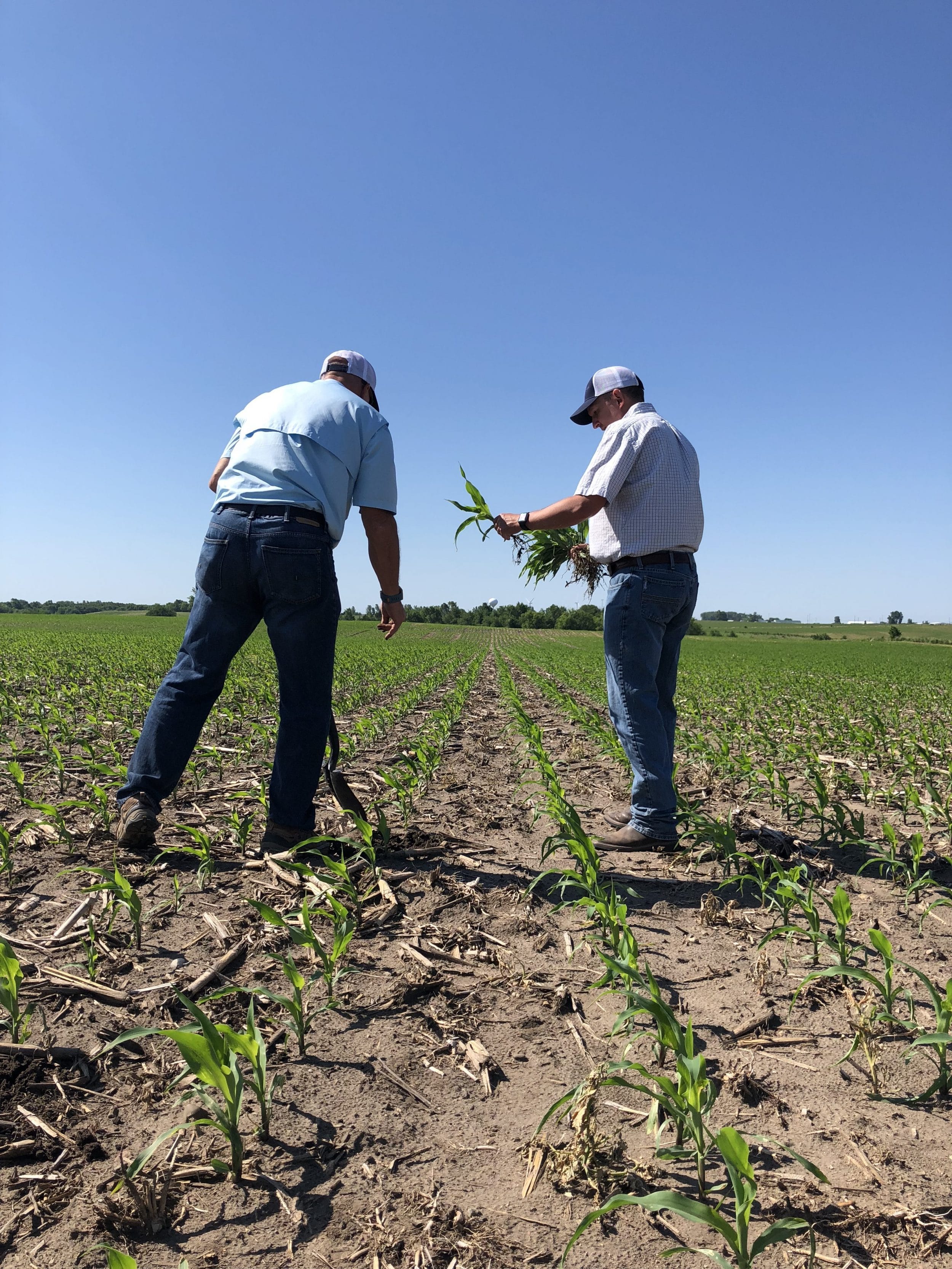 Pivot Bio Closes $70 Million Series B Financing to Deliver First and ...