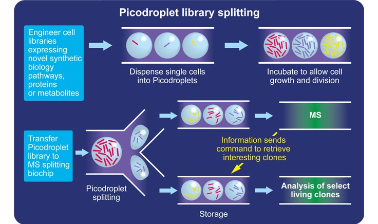 Sphere Fluidics Raises $7 Million for Development Of Cyto-Mine Single ...