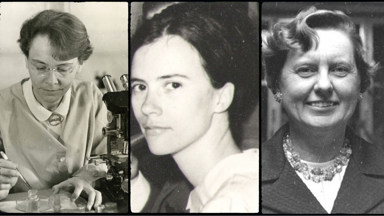 Meet the Heroes You Never Knew You Had - SynBioBeta