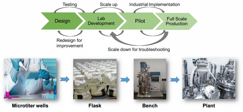 Making the impossible possible: scaling from discovery to manufacturing ...
