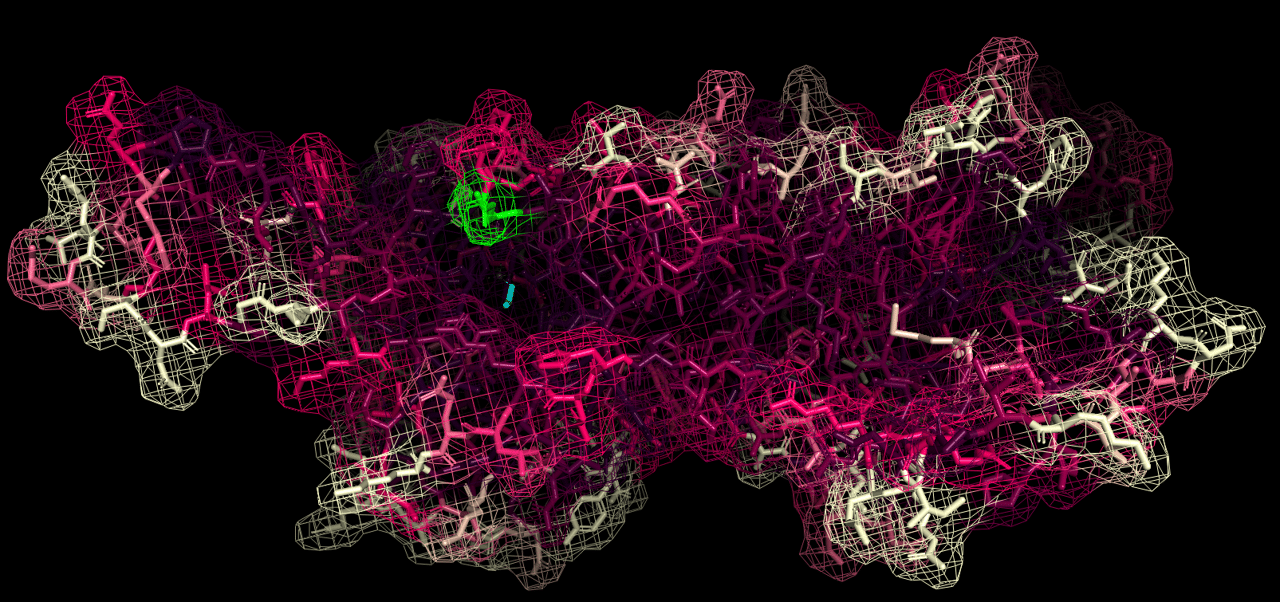 Living Power: This Bio-Battery Is Harnessing the Power of DNA - SynBioBeta