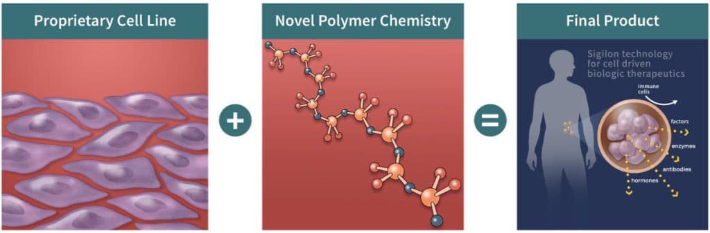Flagship Pioneering Announces Launch of Sigilon Therapeutics to Harness ...