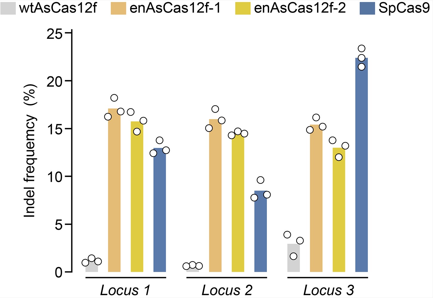 The Compact CRISPR Enzyme Promising Breakthroughs in Genetic Medicine ...