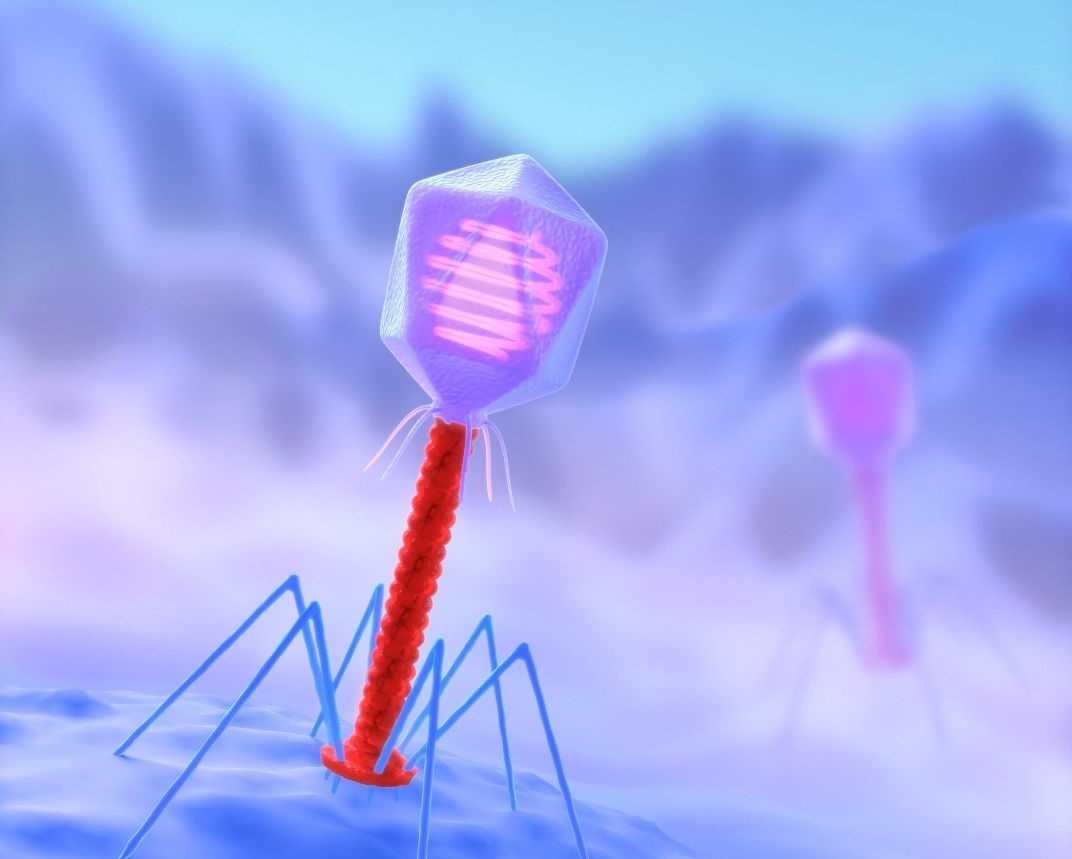 Phages and Synthetic Biology Team Up to Tackle Antimicrobial Resistance ...