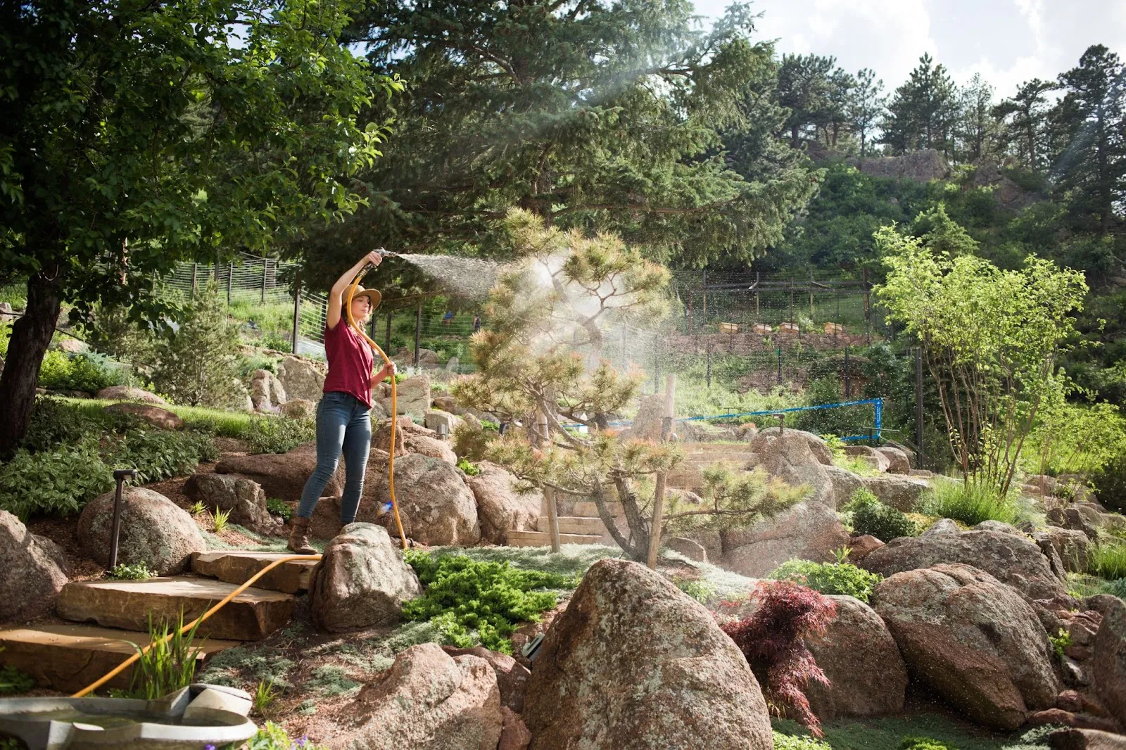 Unlock Nature's Power: Compost Tea Spraying for a Greener Lawn