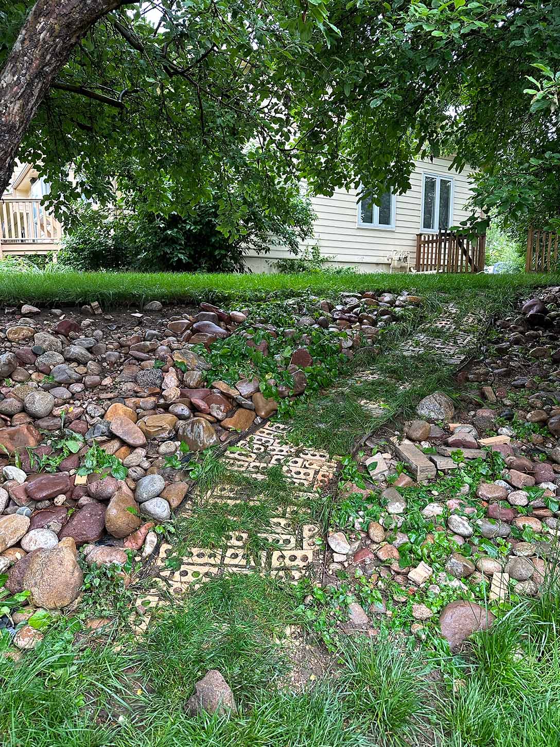 Steam Weeding Colorado: Safe, Effective Weed Control for a Thriving Lawn