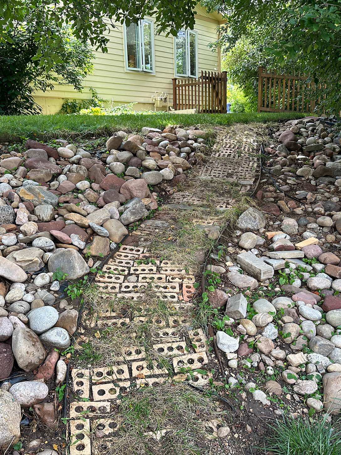 Steam Weeding Colorado: Safe, Effective Weed Control for a Thriving Lawn