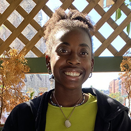 BLAC - Building Leaders And Creators. An Independent Agency Internship ...