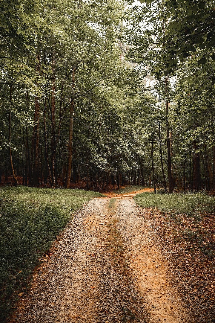 Paving - Access Roads | DHE Contractors