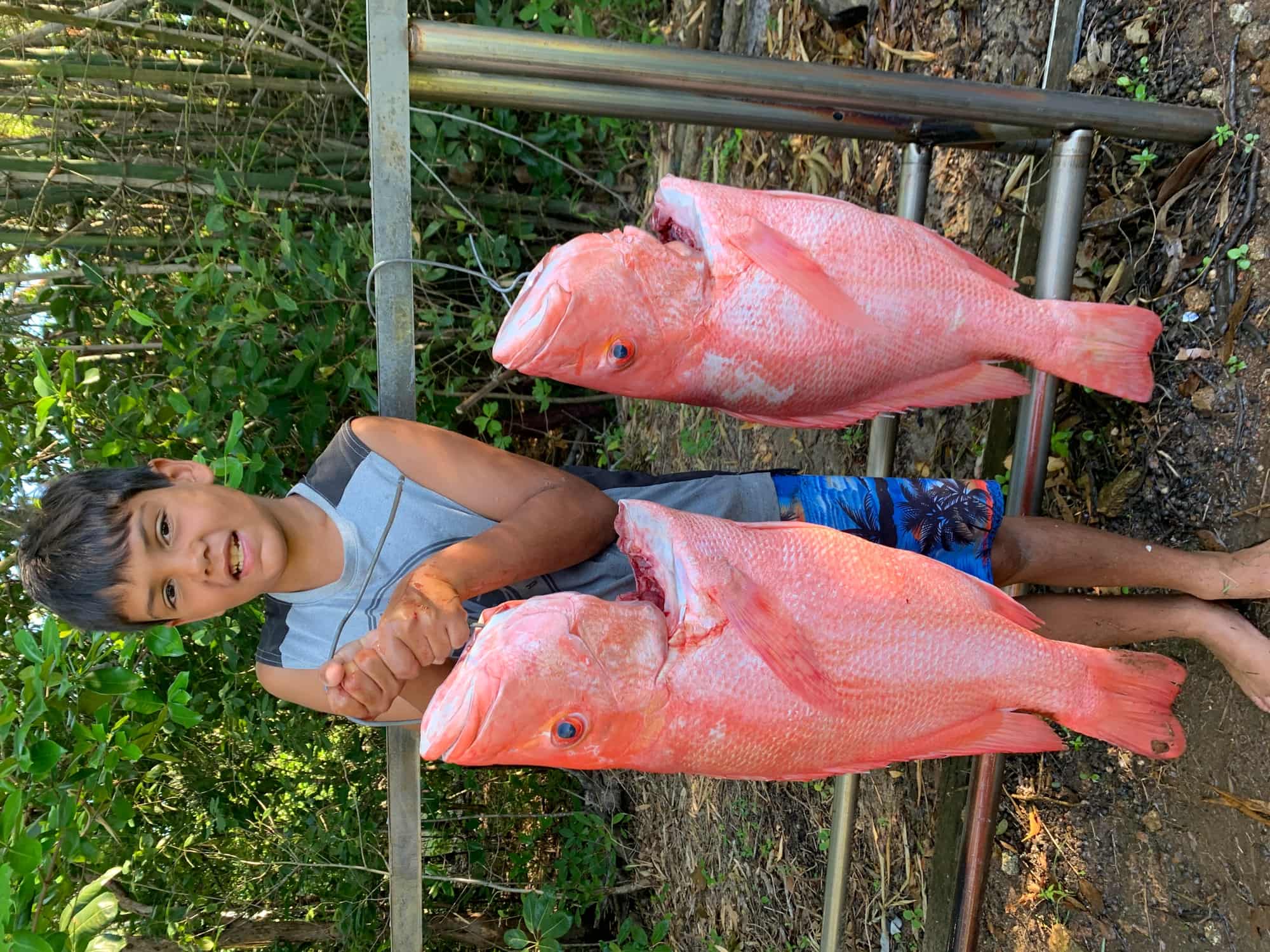 Cooktown Caravan Park | Far North Queensland Camping