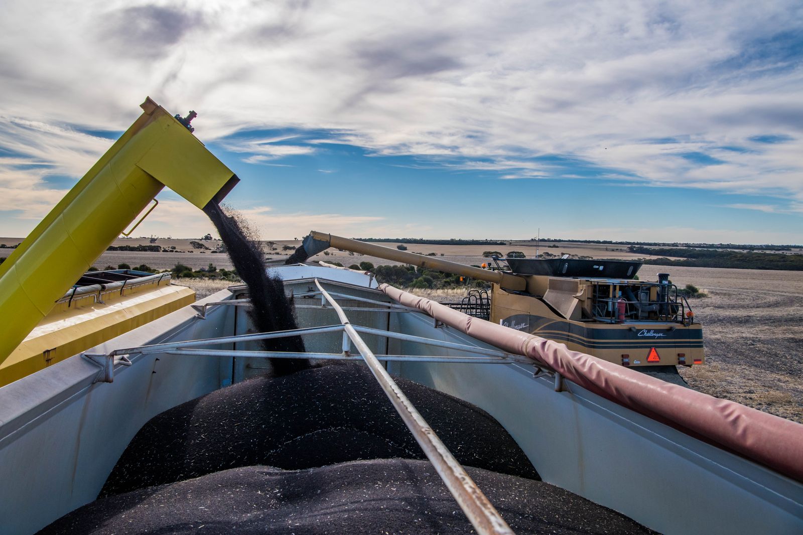 AgriDigital Onfarm |Track your grain from paddock to payment