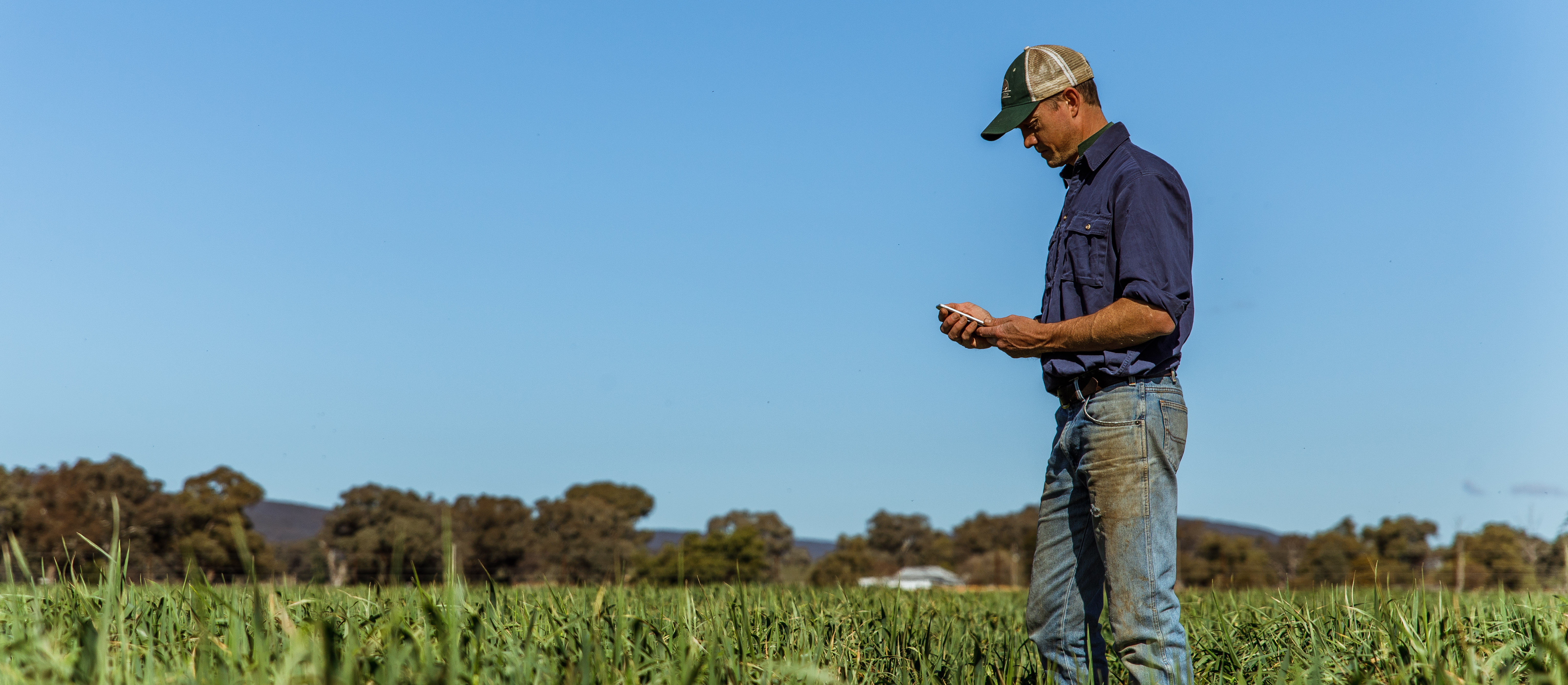 AgriDigital Onfarm |Track your grain from paddock to payment