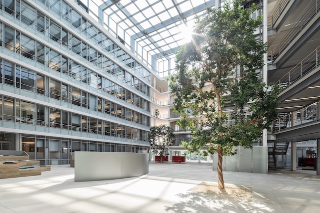 How Henkel has become a hybrid work model hero | deskbird