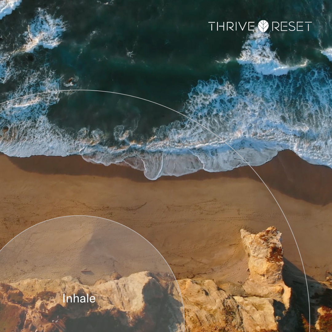 Thrive for Support Teams