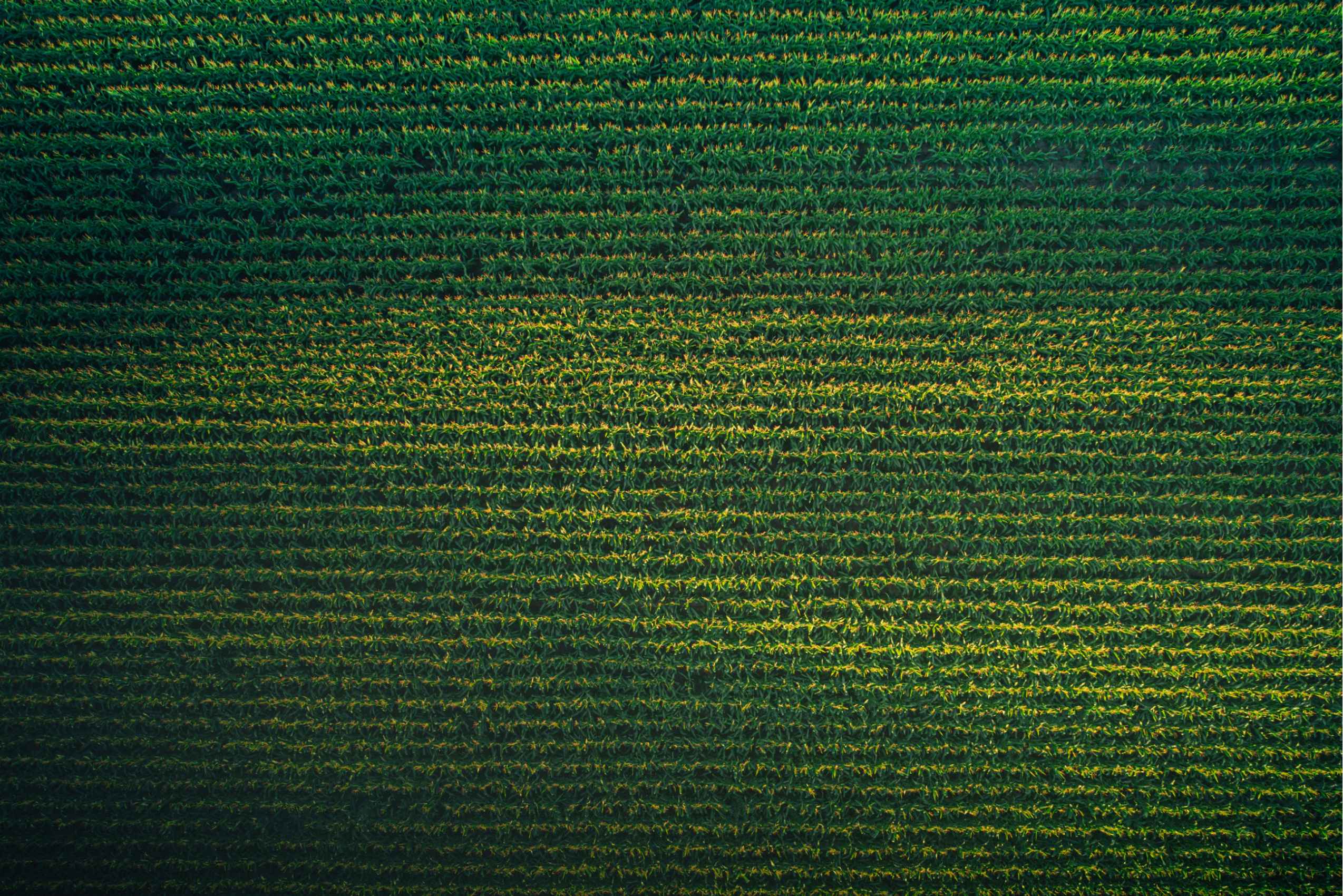 Sustainable Agriculture Summit