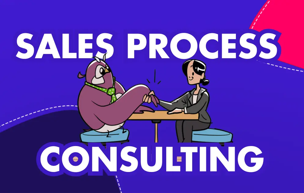The Ultimate Guide to Sales Process Consulting | Vouris