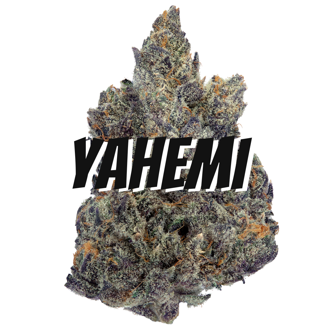 Yahemi - Purplefarm