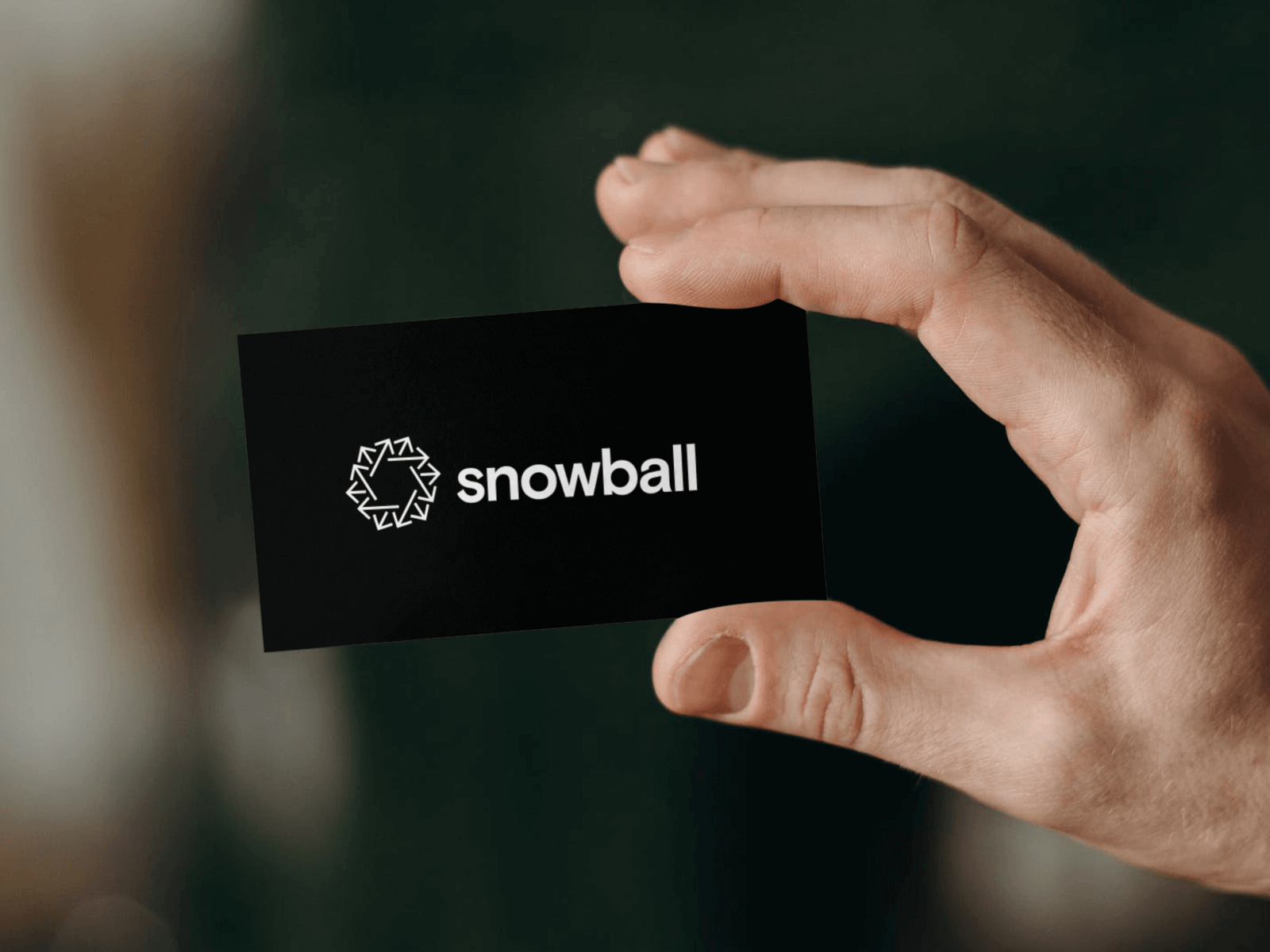 Our Designs For Snowball | Studio Case Studies