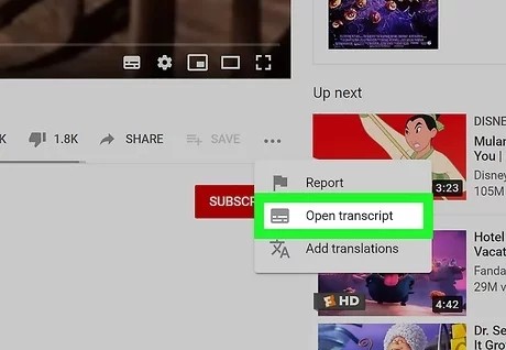 How to download youtube video transcript for everyone - Hei.io
