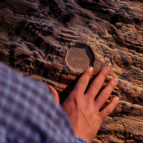 31 - Skinwalker - Talk Ville: The Ultimate Smallville Rewatch