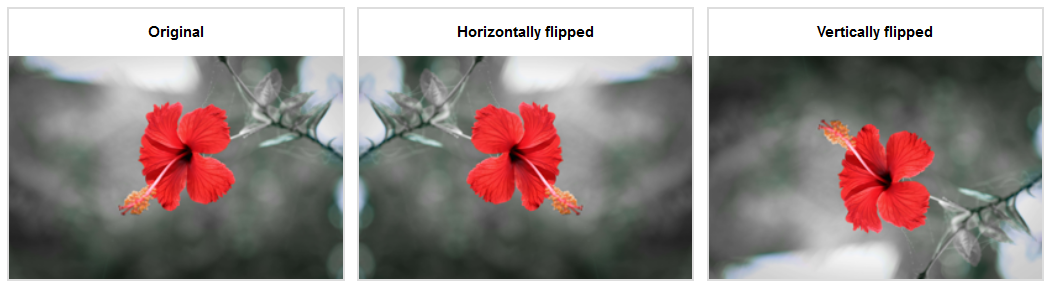 How to do Multiclass Image Classification with Data Augmentation?