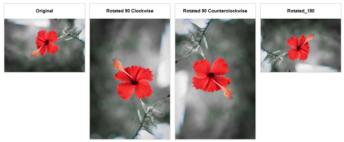 How to do Multiclass Image Classification with Data Augmentation?