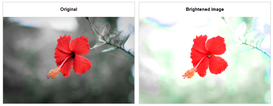 How to do Multiclass Image Classification with Data Augmentation?