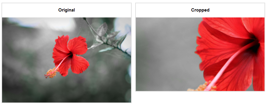 How to do Multiclass Image Classification with Data Augmentation?