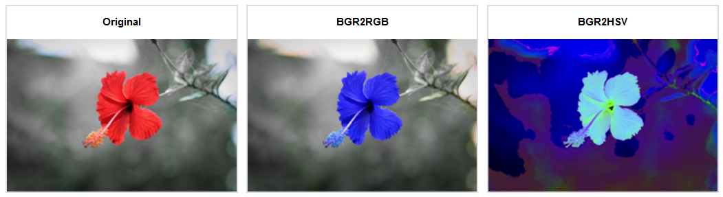 How to do Multiclass Image Classification with Data Augmentation?