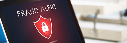 Fraud Detection in E-commerce : 7 Ways to Safeguard your Website