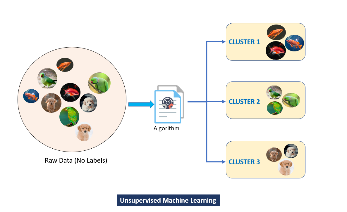 Unsupervised Learning
