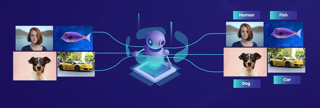 Unsupervised learning in Image Classification - Everything To Know