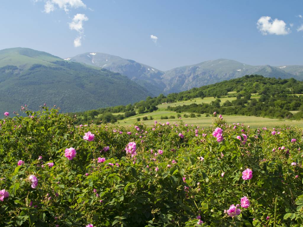 Bulgaria: The Balkan Nation With More Than 700 Hot Springs