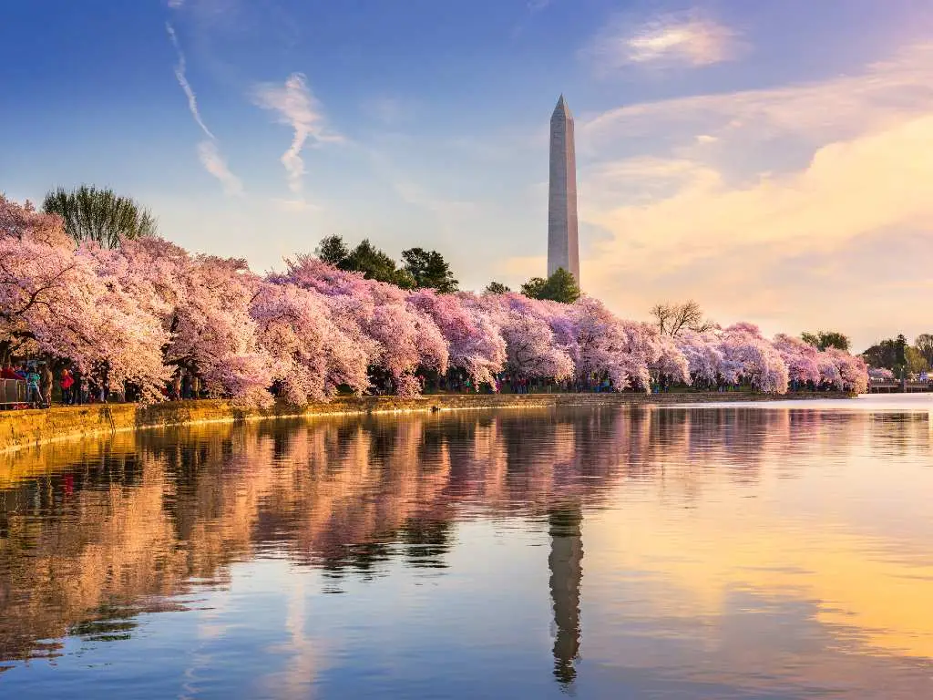 Washington, DC: The Capital City With the World’s Most Famous House