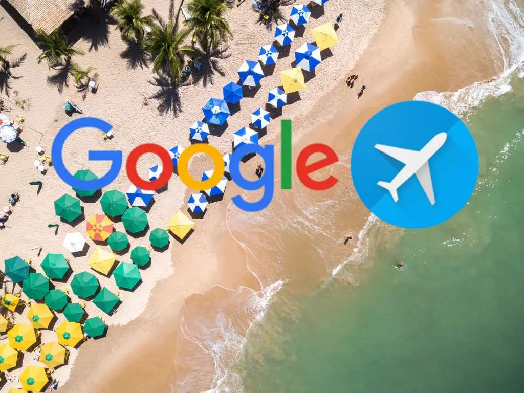 How to Set Google Flights Alerts and Snag the Best Price for Your Flight