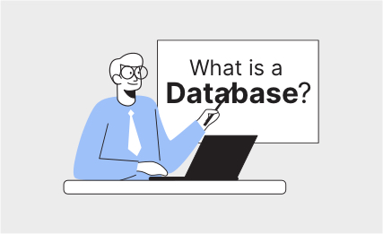 What is a database for software?