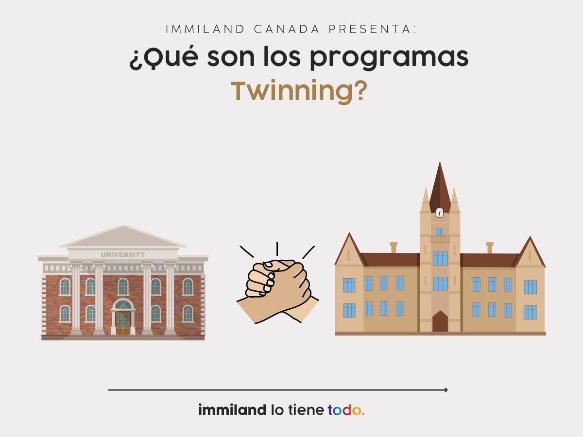 What are Twinning programs?