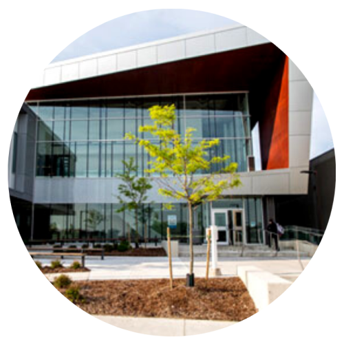 Lambton College