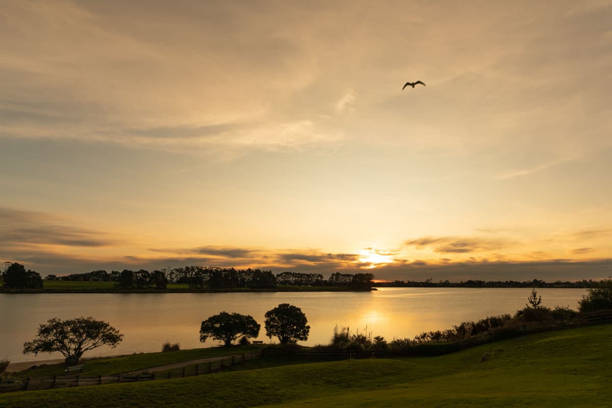 Sections for Sale on Pararēkau Island, Karaka, Auckland