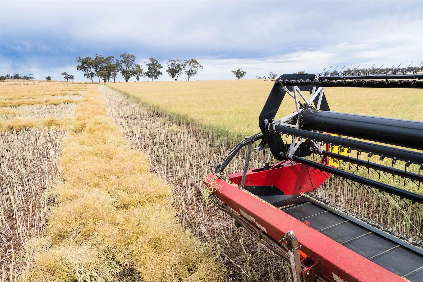 Grain supply chains made easy — from Australia to the U.S.