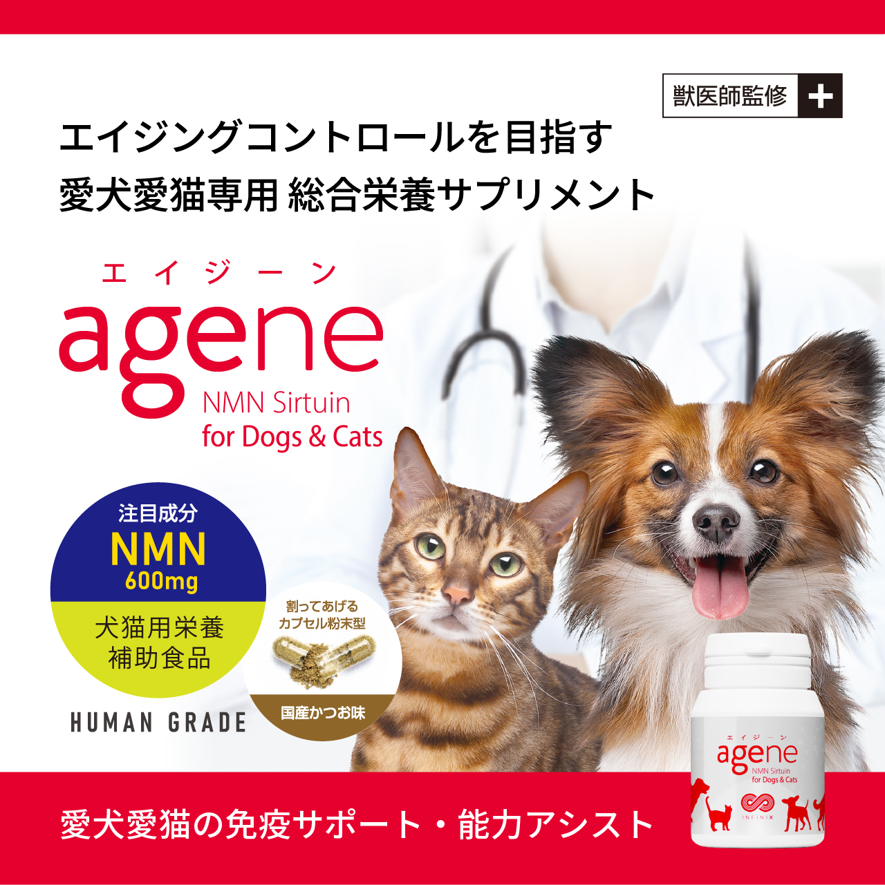 愛犬愛猫専用・NMN配合の総合栄養サプリメント『agene®︎』 新発売! 若々しい魅力維持に不可欠な能力アシスト&健康寿命 に配慮した免疫をサポート | NMNの養庵堂【公式オンライン ...