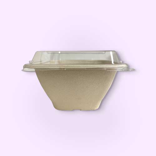 EG-0.8 Natural Pulp Tray | Eastern Dragon