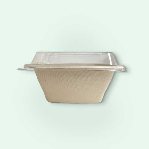EG-0.8 Natural Pulp Tray | Eastern Dragon