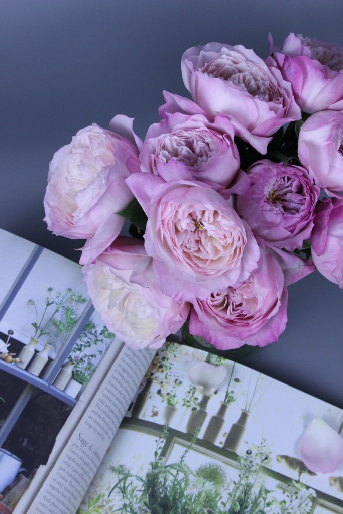 Top 10 best books about roses