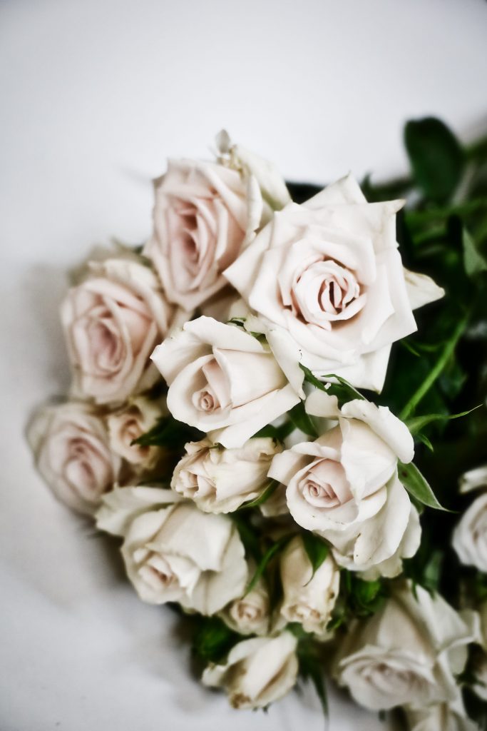 The Scent of Roses, Past and Present